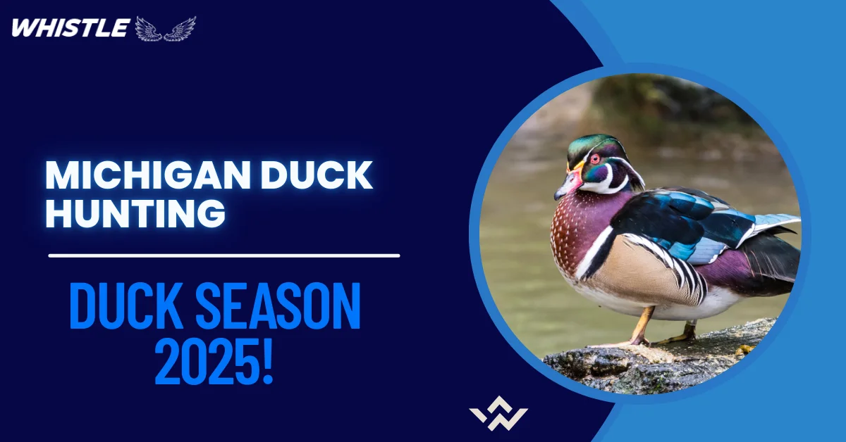 Michigan Duck Hunting - Duck Season 2025!